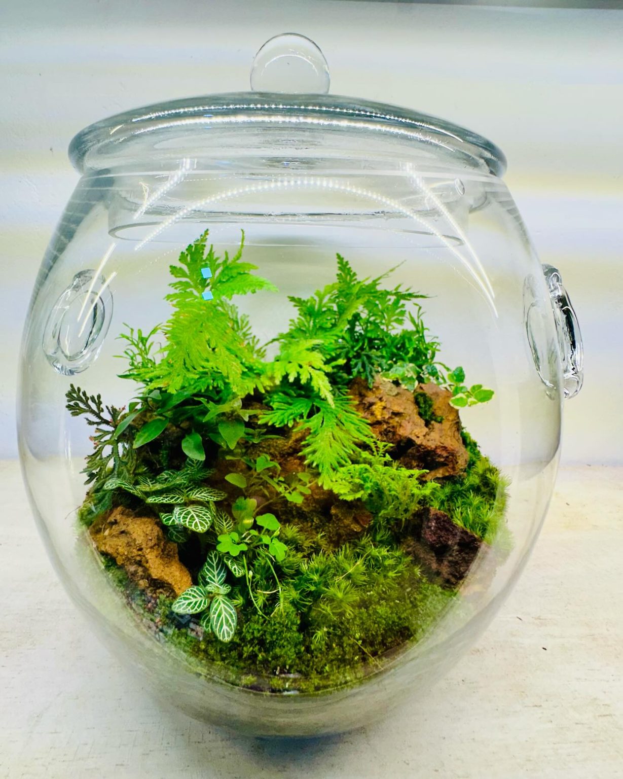 21 Terrarium Ideas to Bring Greenery into Your Home – Inspired Homey