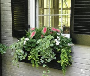 29 Window Box Ideas to Brighten Up Your Home’s Curb Appeal – Inspired Homey