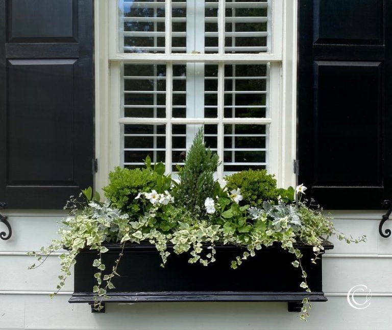 29 Window Box Ideas to Brighten Up Your Home’s Curb Appeal – Inspired Homey