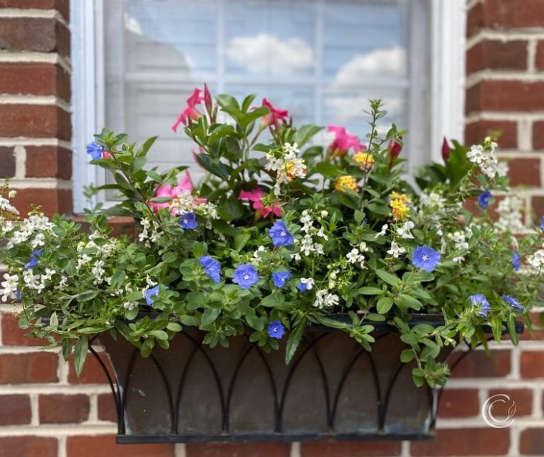 29 Window Box Ideas to Brighten Up Your Home’s Curb Appeal – Inspired Homey