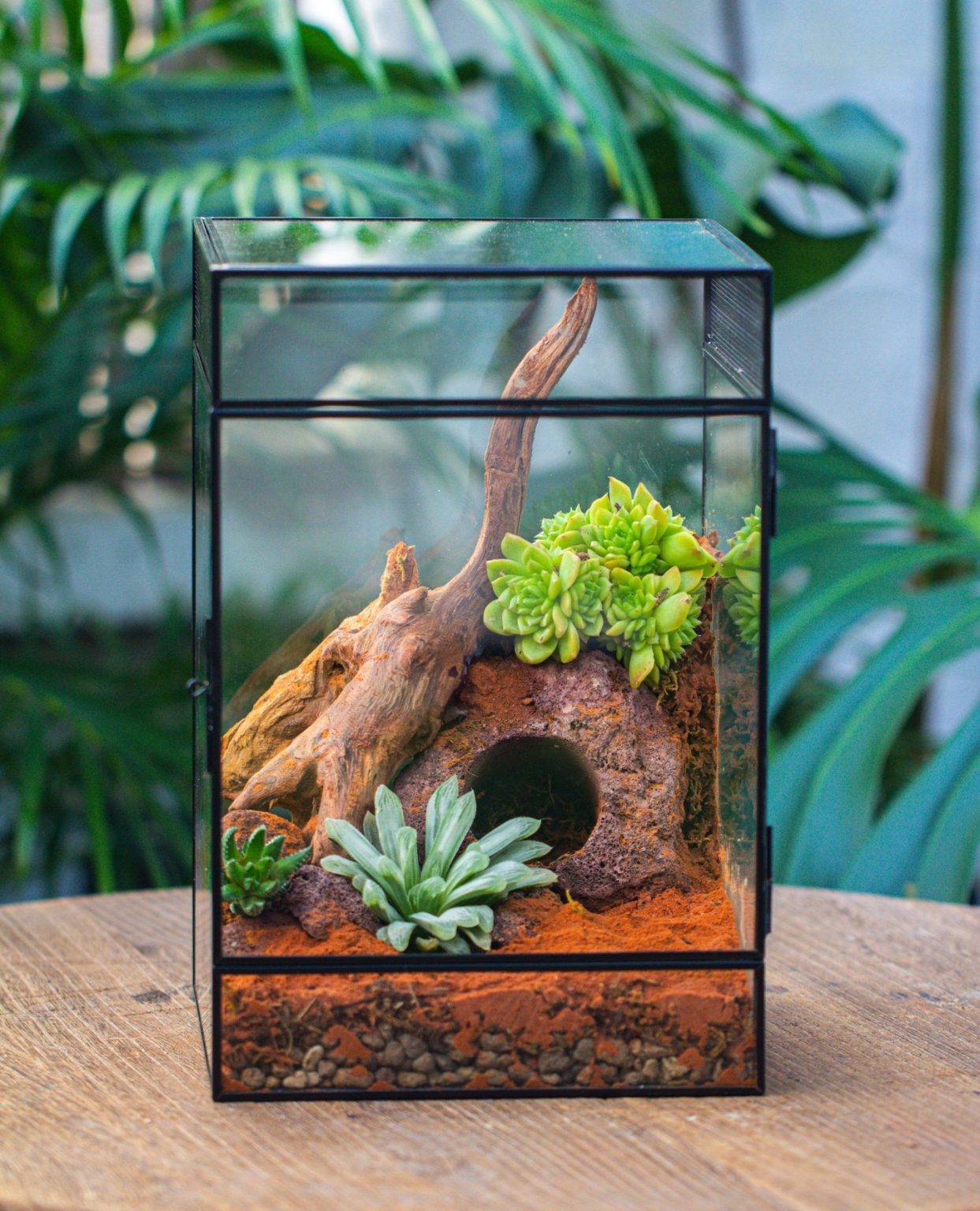 21 Terrarium Ideas to Bring Greenery into Your Home – Inspired Homey