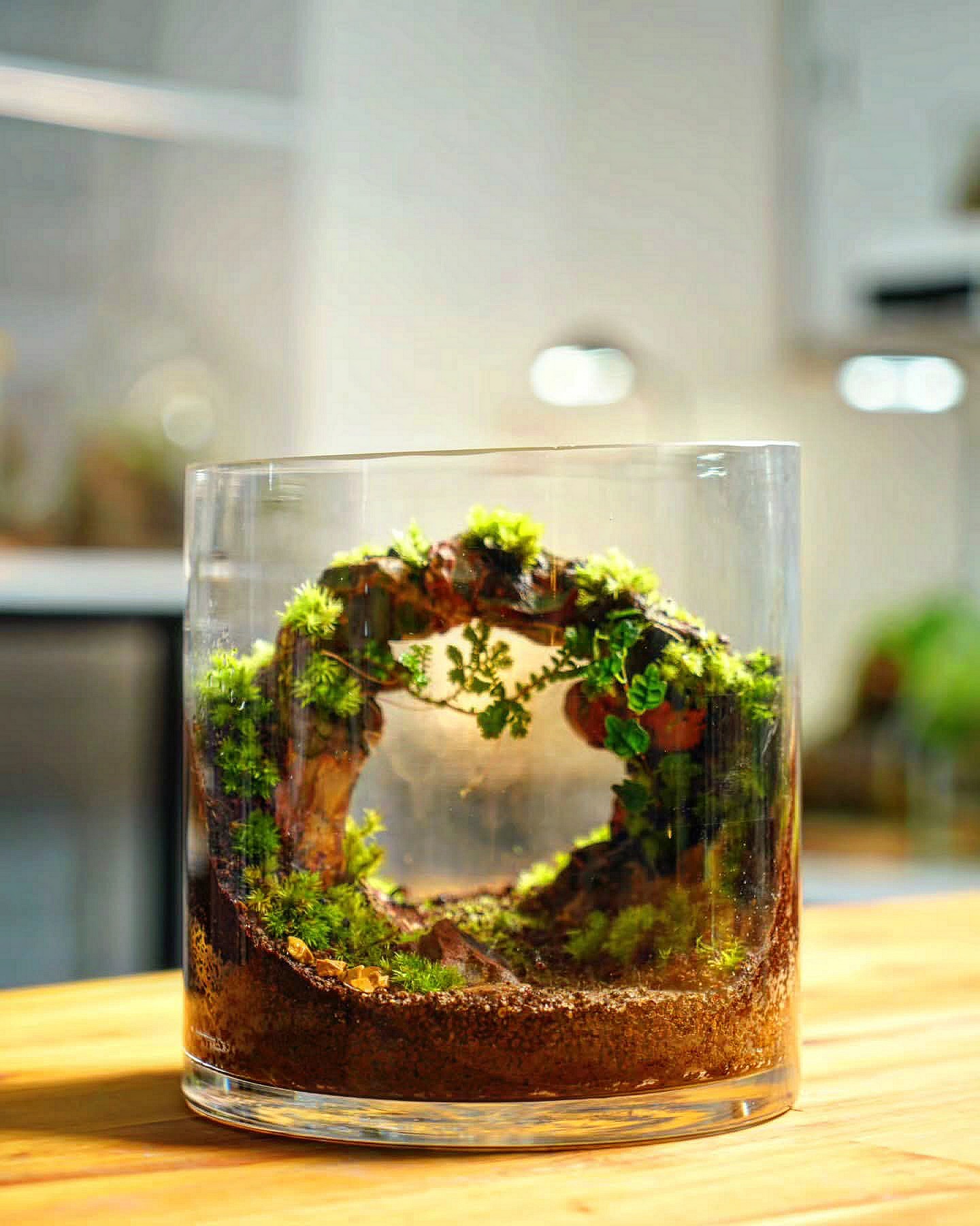 21 Terrarium Ideas to Bring Greenery into Your Home – Inspired Homey
