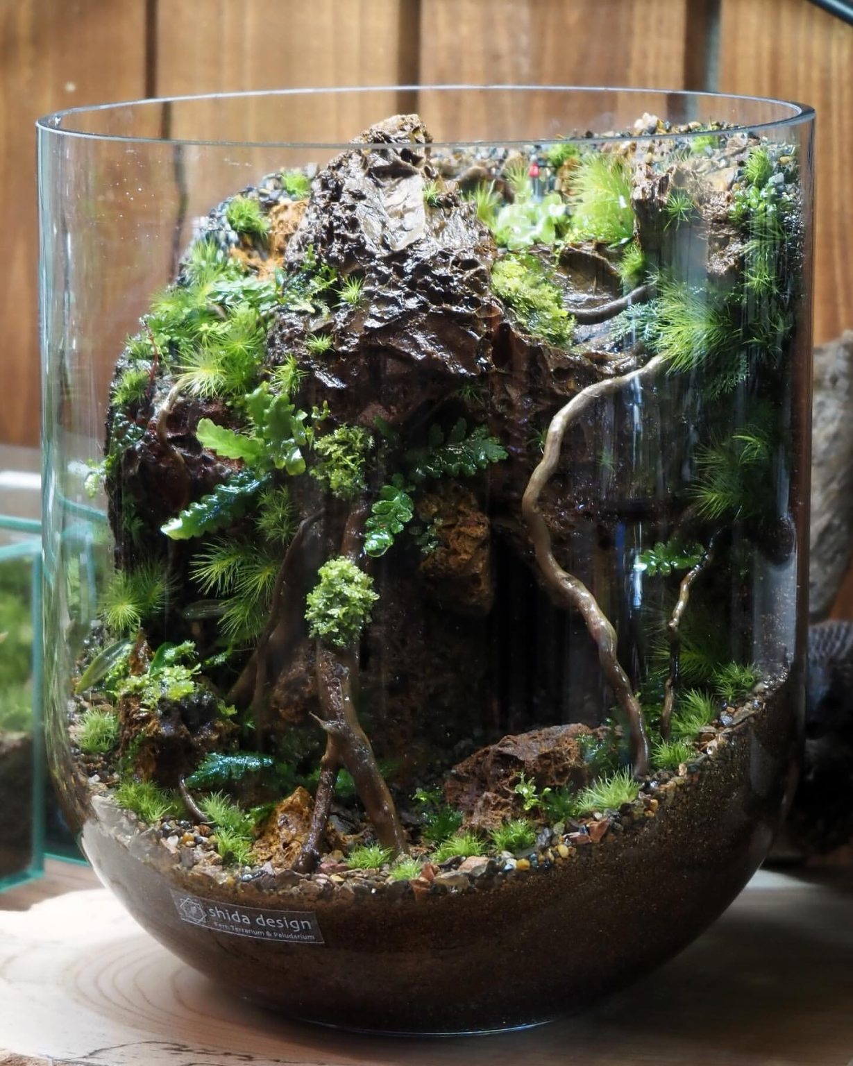 21 Terrarium Ideas to Bring Greenery into Your Home – Inspired Homey