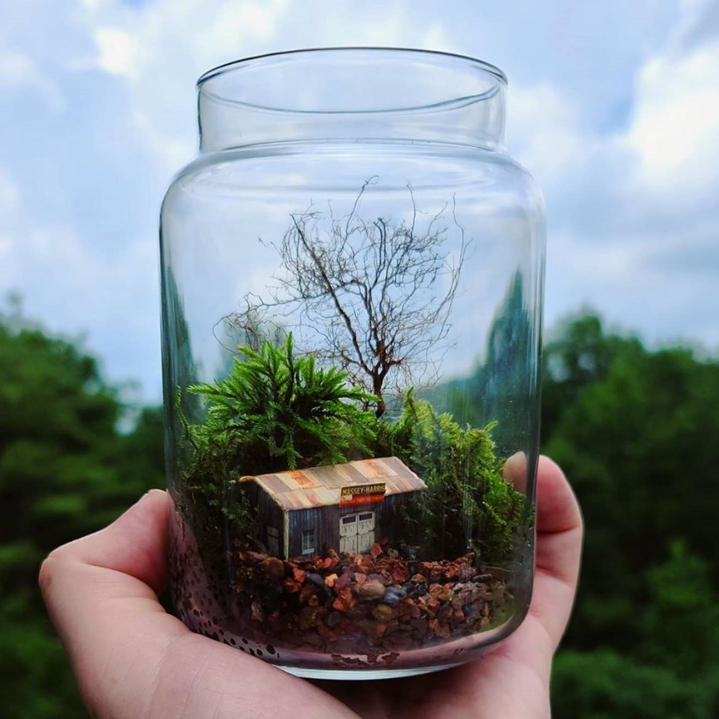 21 Terrarium Ideas to Bring Greenery into Your Home – Inspired Homey