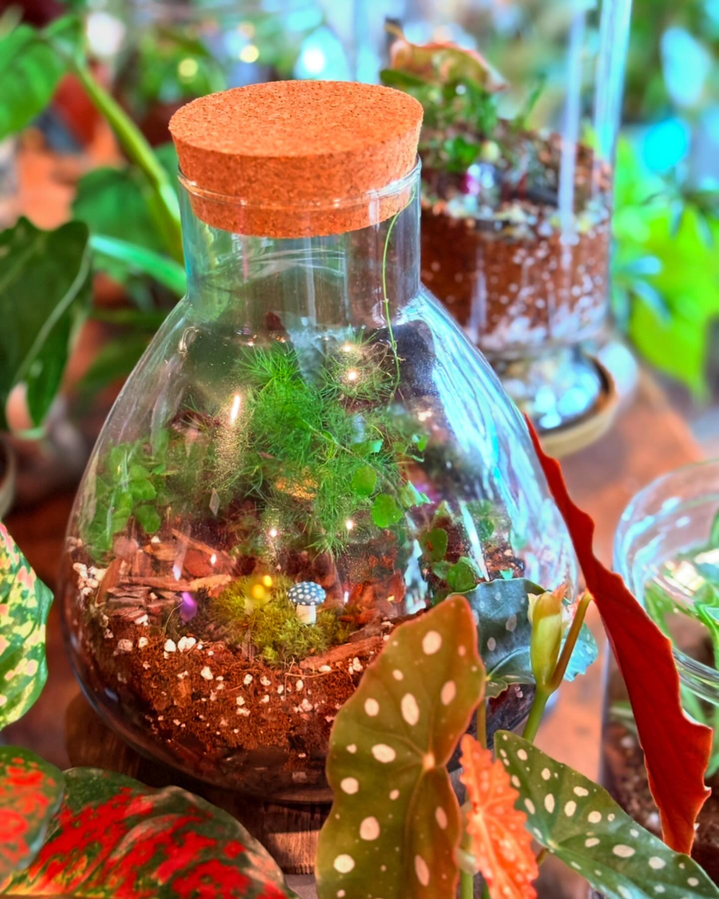 21 Terrarium Ideas to Bring Greenery into Your Home – Inspired Homey