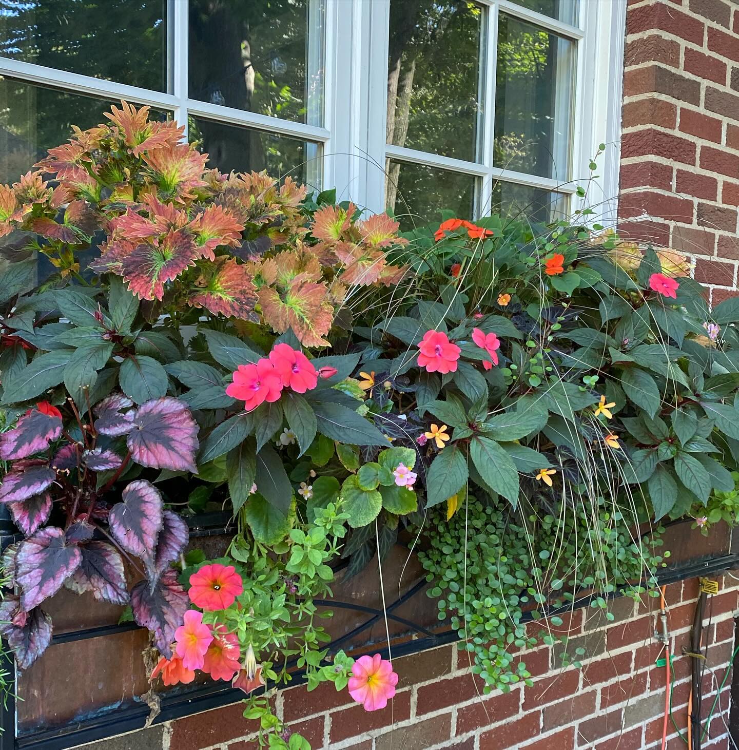 29 Window Box Ideas to Brighten Up Your Home’s Curb Appeal – Inspired Homey