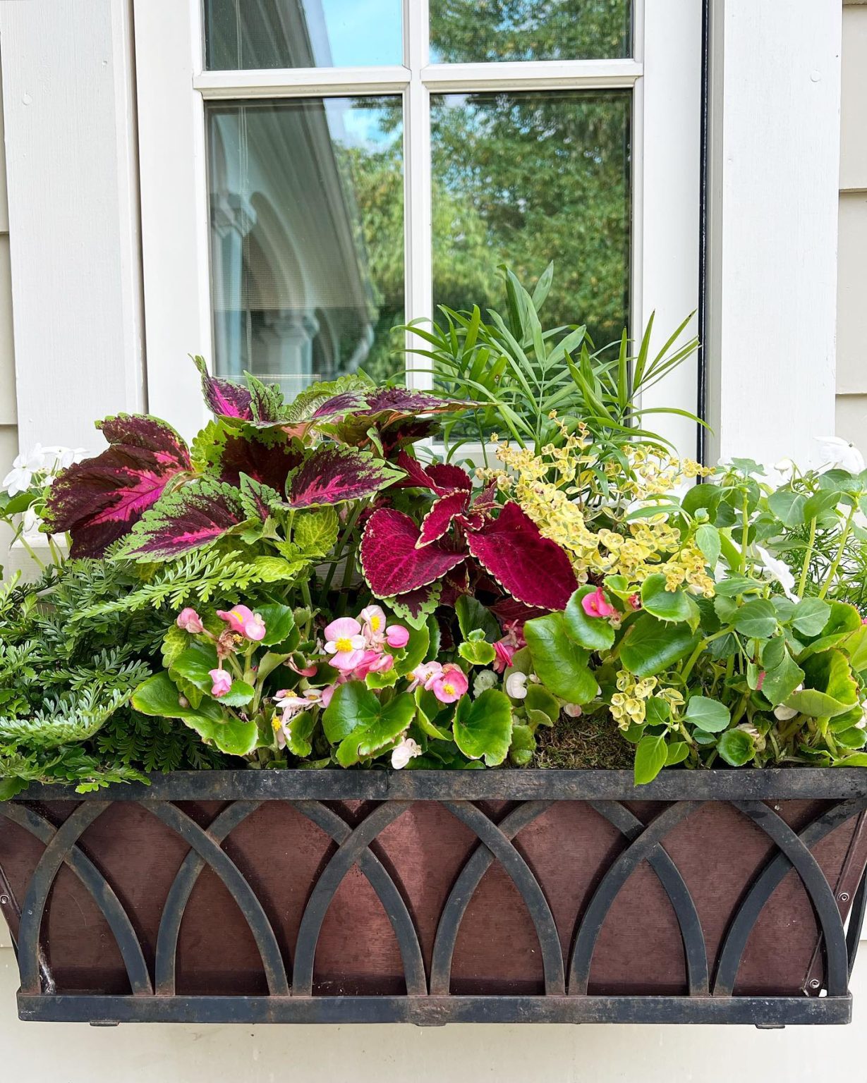 29 Window Box Ideas to Brighten Up Your Home’s Curb Appeal – Inspired Homey