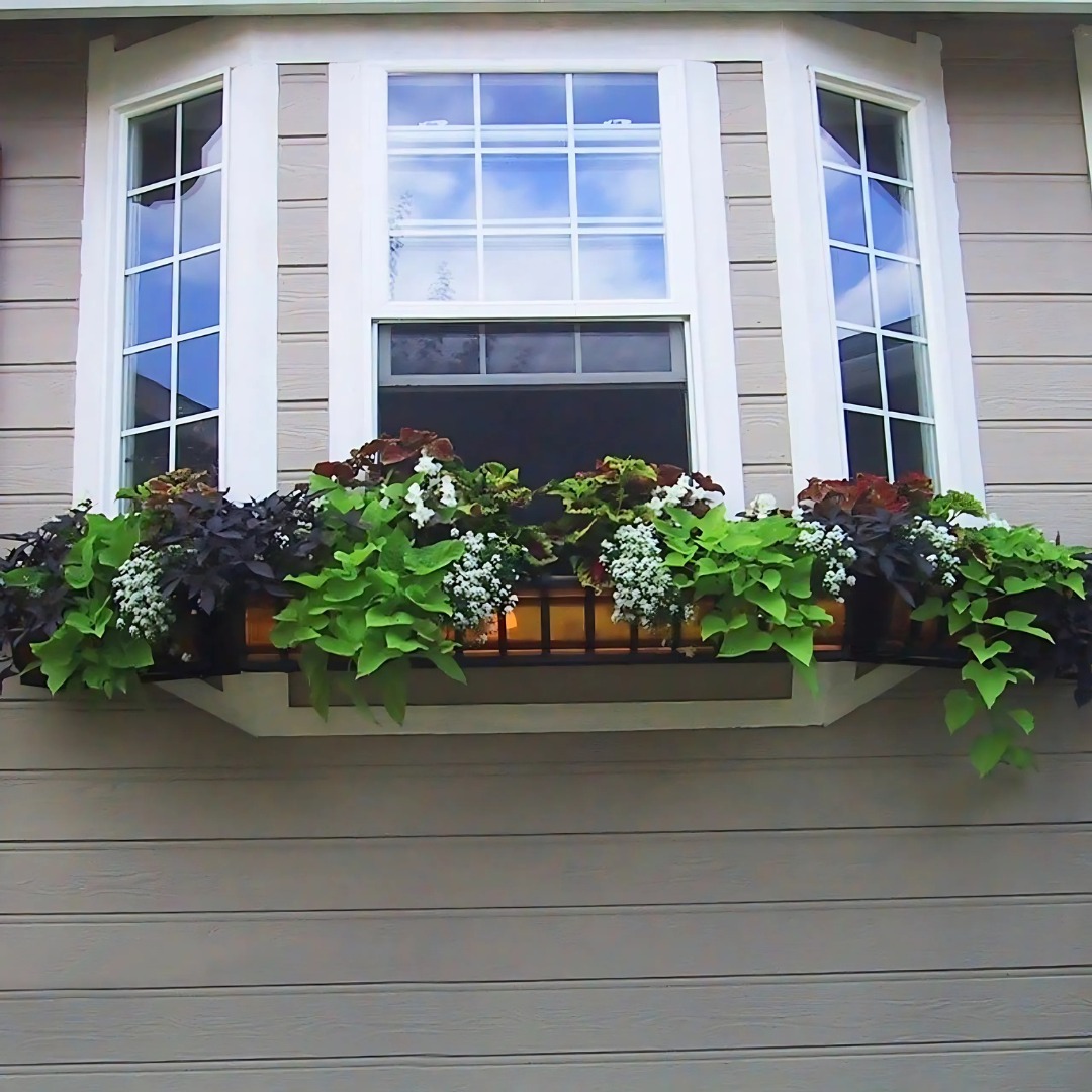 29 Window Box Ideas to Brighten Up Your Home’s Curb Appeal – Inspired Homey